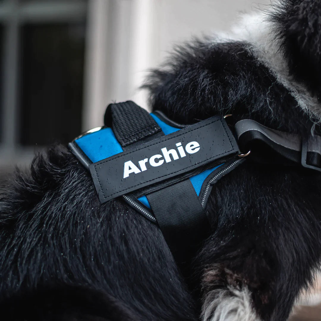 Personalised Harness Patch – Canine Culture